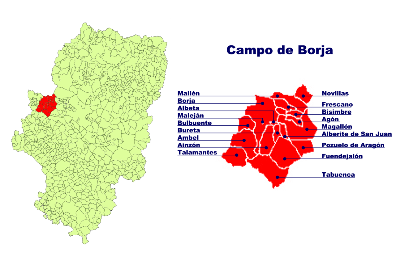 Visita a D.O. Campo de Borja | Asociación Enólogos de Rioja Visita a D.O. Campo de Borja | Asociación Enólogos de Rioja